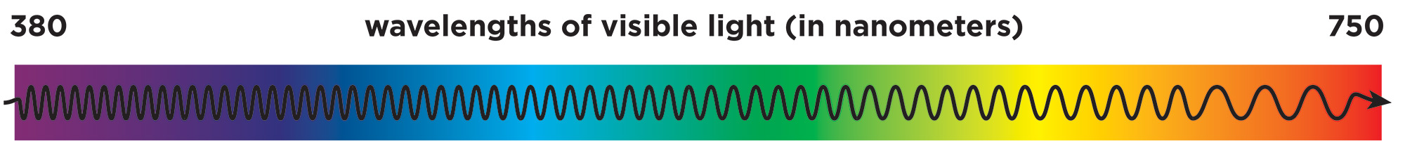 CMYK vs. RGB - Seattle Printworks