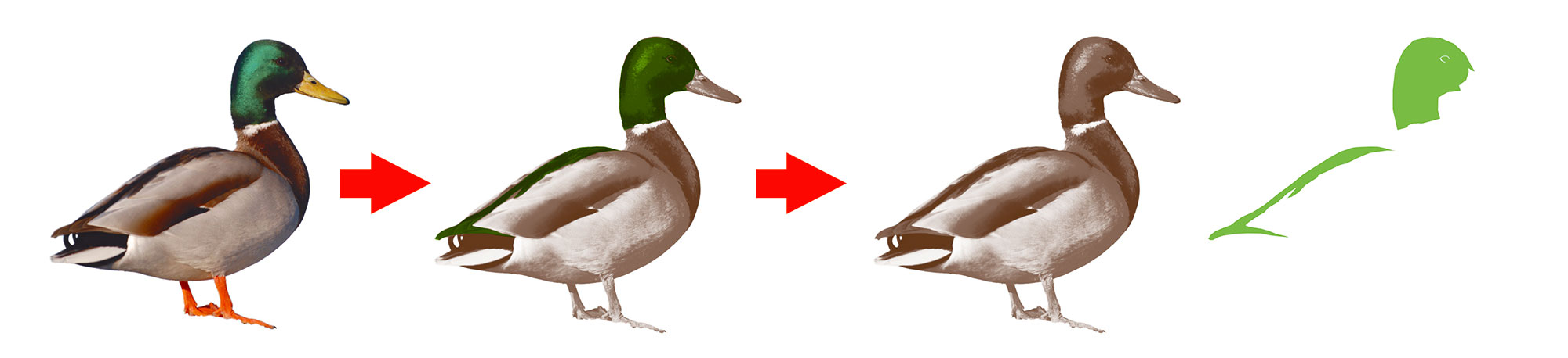 Spot vs. Process Color - Seattle Printworks